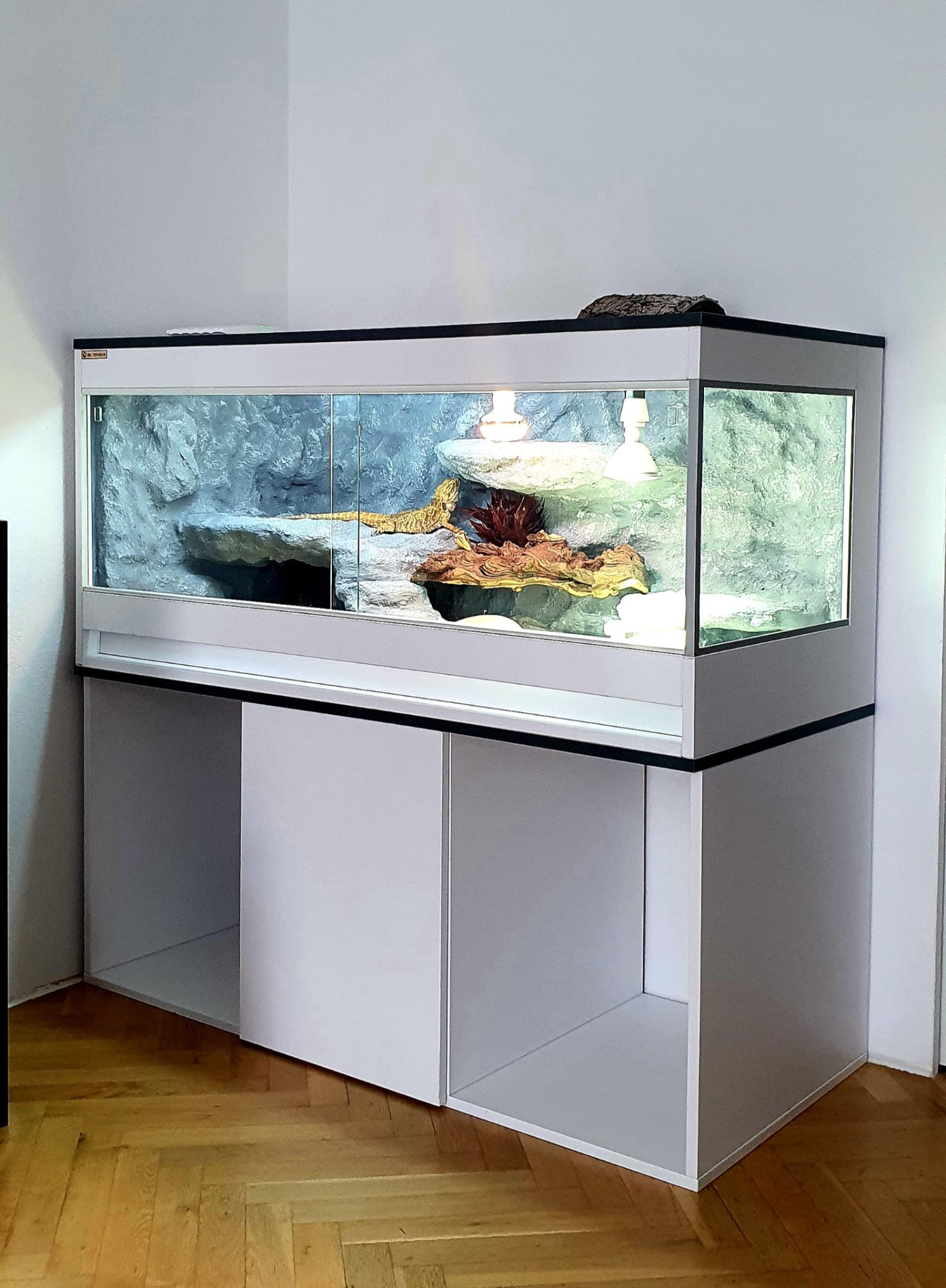 Bb-terarium
